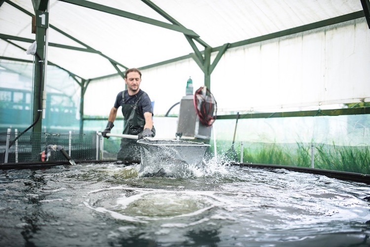 Bioaqua Farm teaches “the future of sustainable farming”